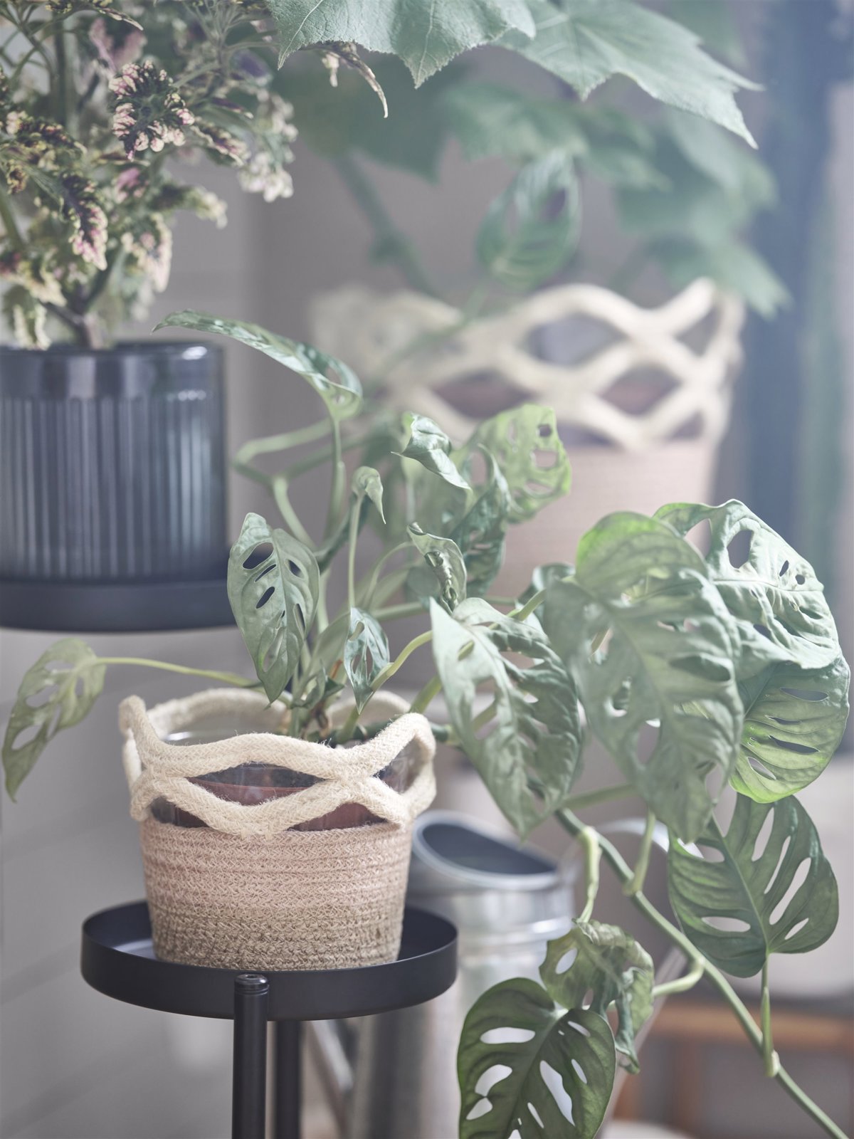 Qué es el yute, para qué sirve y cómo se usa en decoración